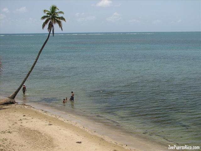 Patillas : ZeePuertoRico.com
